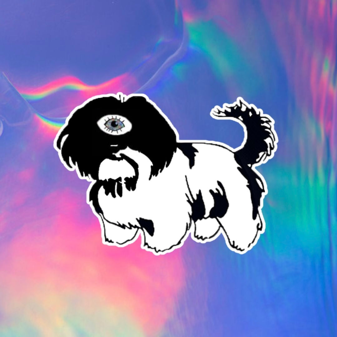 Mystic Chili | Matching Pet + People Looks