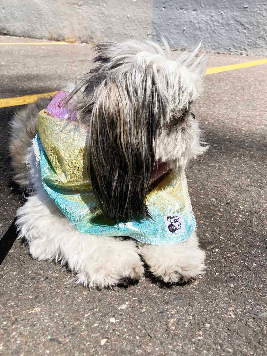 Maya Bandana (Pet) – Mystic Chili